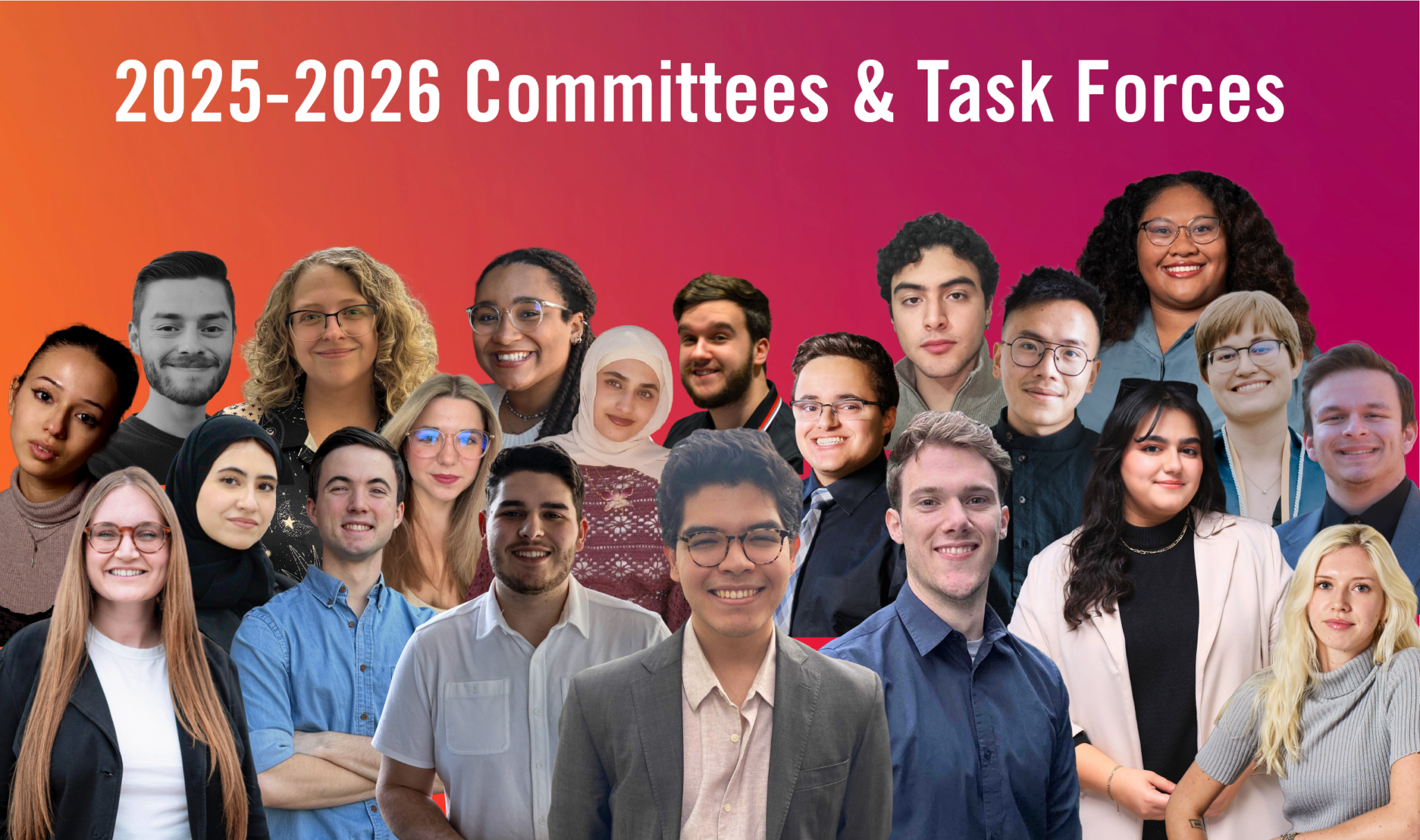 2025-2026 AIAS Committees & Task Force Members - AIAS
